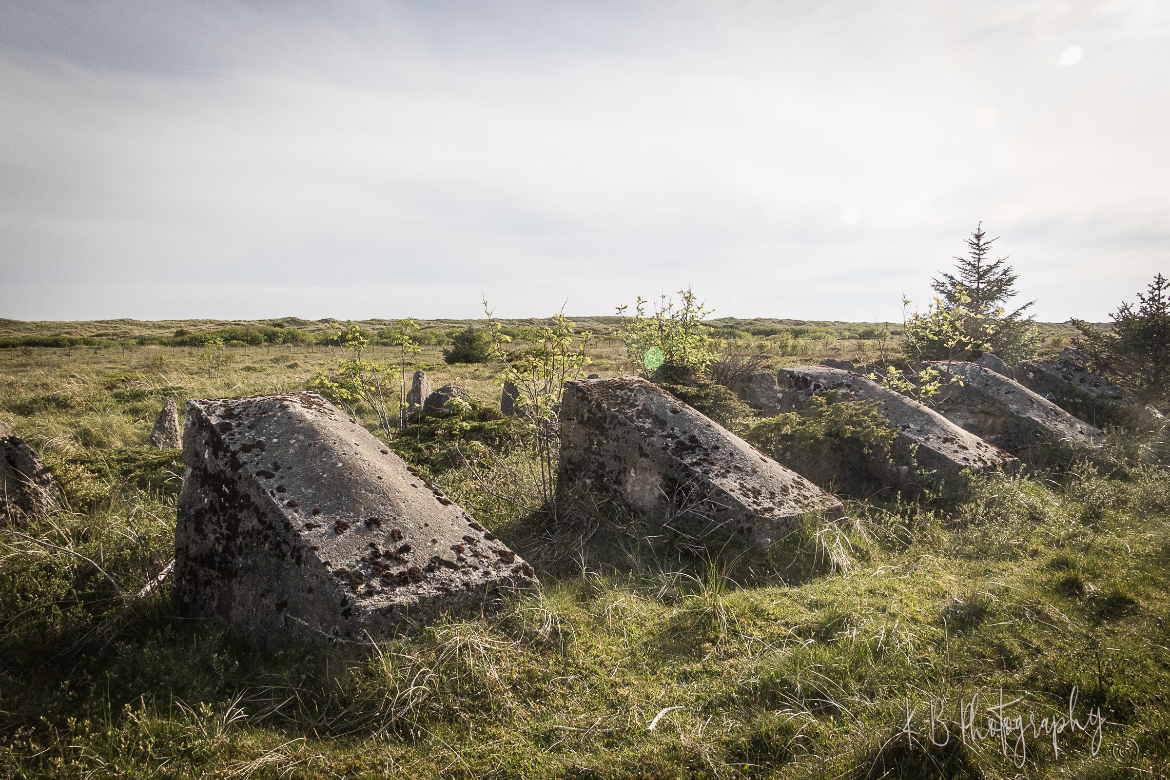 Hitler's teeth - Places 2 Explore